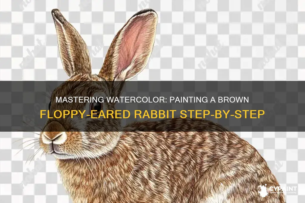 Mastering Watercolor: Painting A Brown Floppy-Eared Rabbit Step-By-Step ...