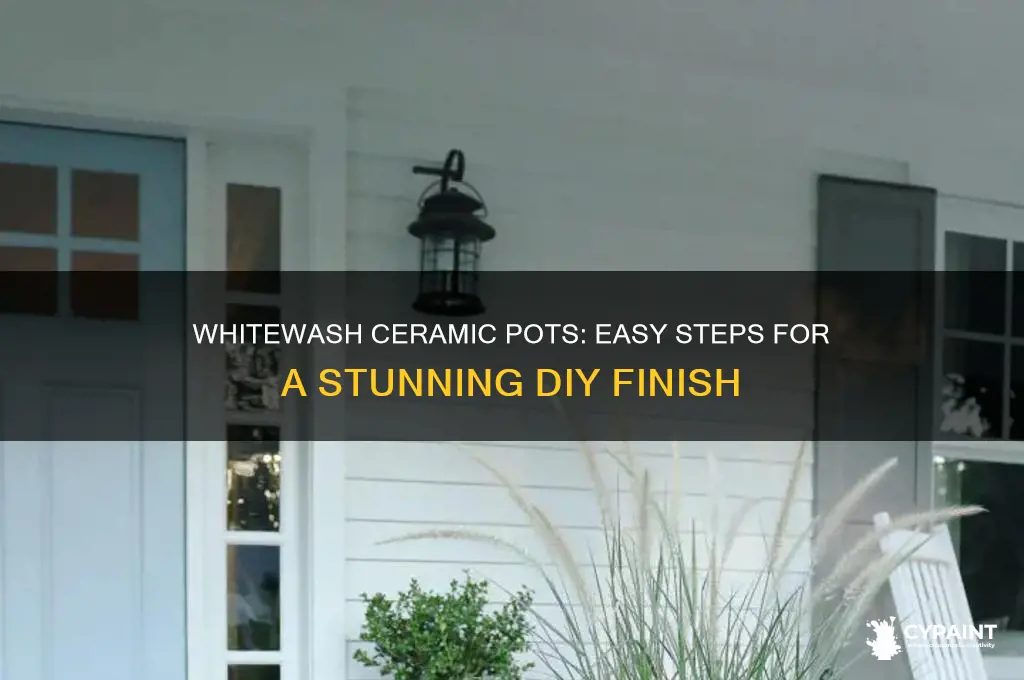 Whitewash Ceramic Pots: Easy Steps For A Stunning Diy Finish | CyPaint