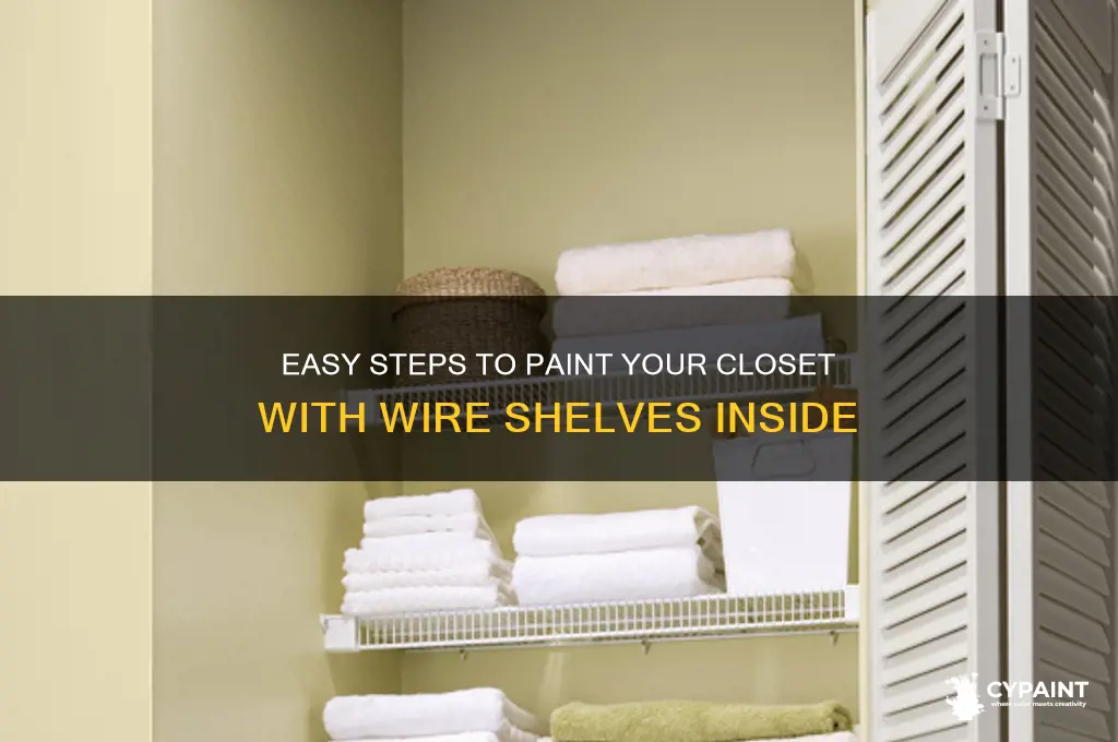 Easy Steps To Paint Your Closet With Wire Shelves Inside | CyPaint