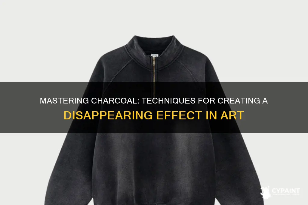 Mastering Charcoal: Techniques For Creating A Disappearing Effect In ...