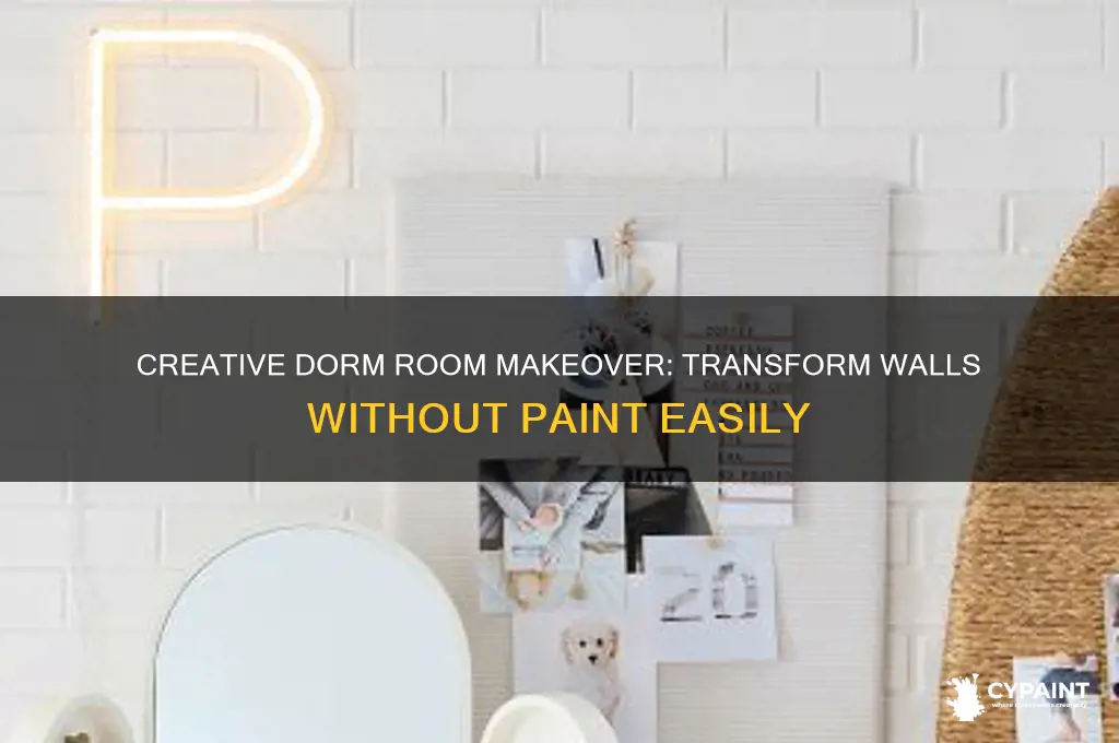 Creative Dorm Room Makeover: Transform Walls Without Paint Easily | CyPaint