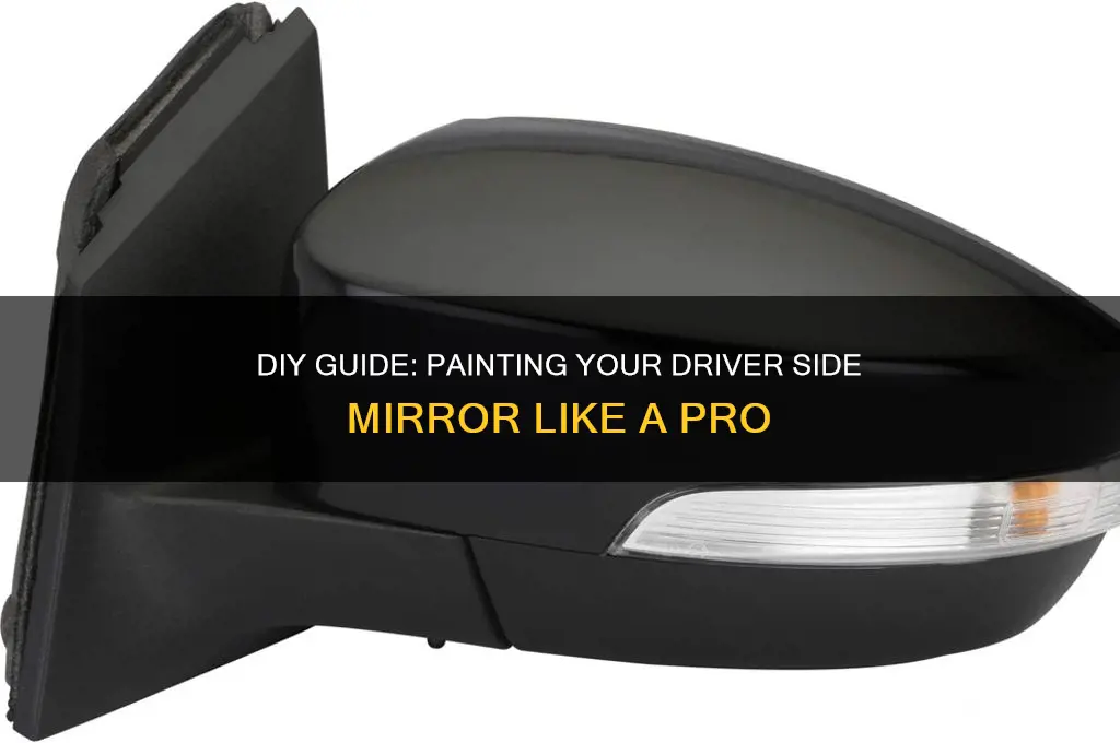 Diy Guide: Painting Your Driver Side Mirror Like A Pro | CyPaint