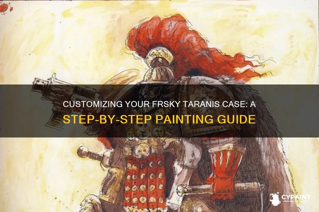 Customizing Your Frsky Taranis Case: A Step-By-Step Painting Guide ...