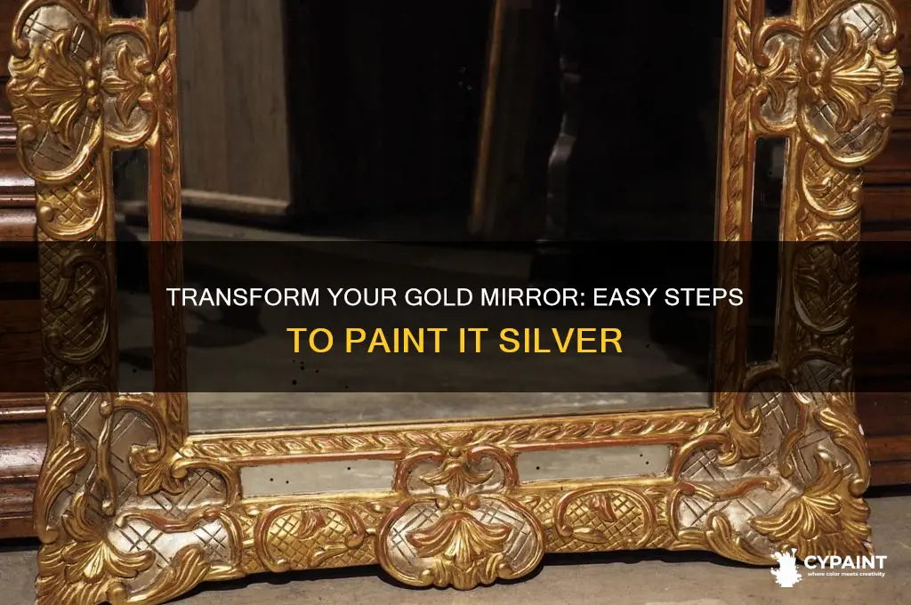 Transform Your Gold Mirror: Easy Steps To Paint It Silver | CyPaint