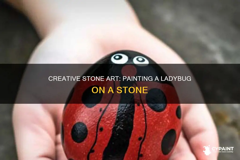 Creative Stone Art: Painting A Ladybug On A Stone | CyPaint
