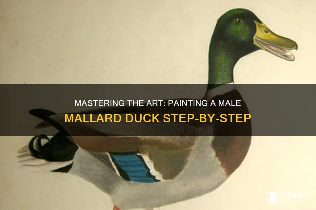 Mastering The Art: Painting A Male Mallard Duck Step-By-Step | CyPaint