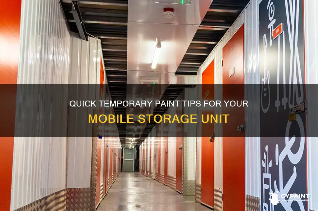 Quick Temporary Paint Tips For Your Mobile Storage Unit | CyPaint