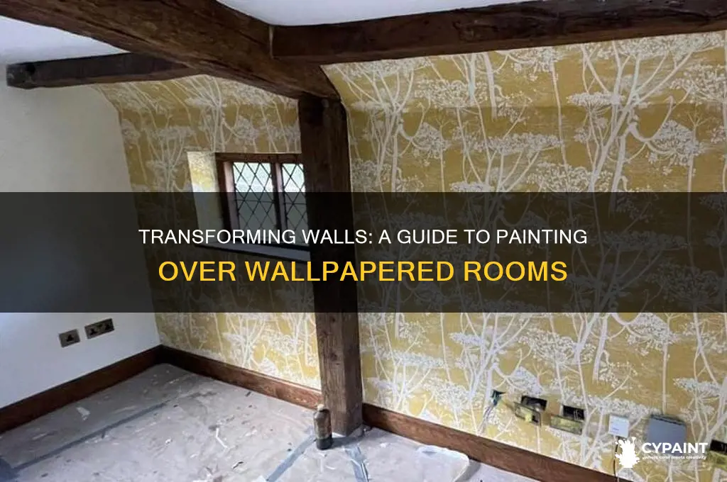 Transforming Walls: A Guide To Painting Over Wallpapered Rooms | CyPaint