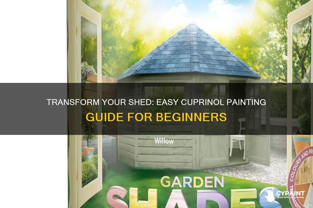 Transform Your Shed: Easy Cuprinol Painting Guide For Beginners | CyPaint