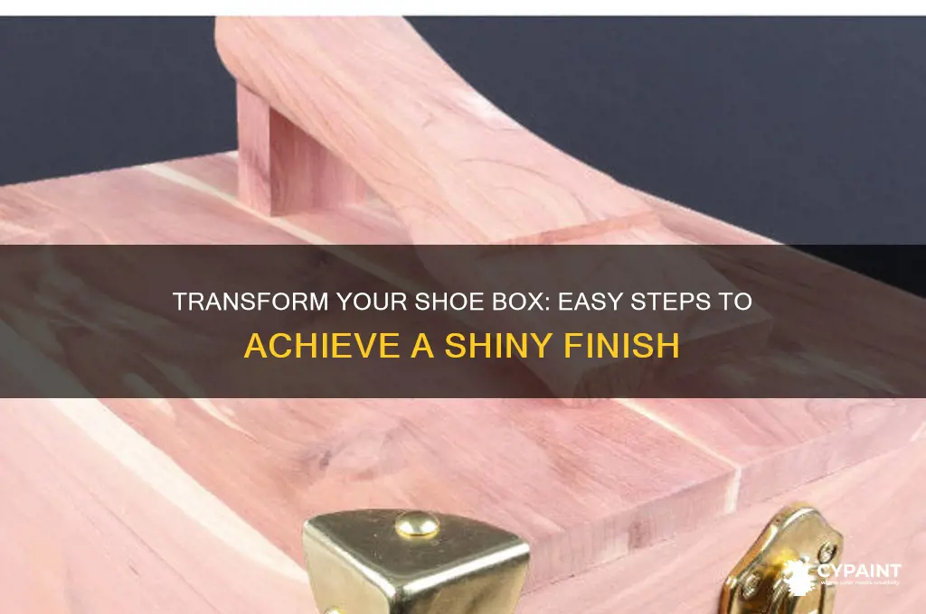 Transform Your Shoe Box: Easy Steps To Achieve A Shiny Finish | CyPaint