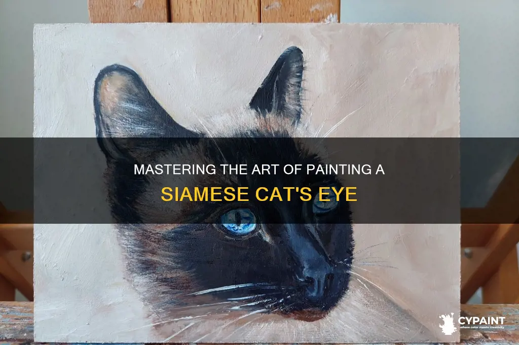 Mastering The Art Of Painting A Siamese Cat's Eye | CyPaint