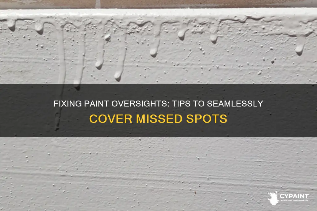 Fixing Paint Oversights: Tips To Seamlessly Cover Missed Spots | CyPaint
