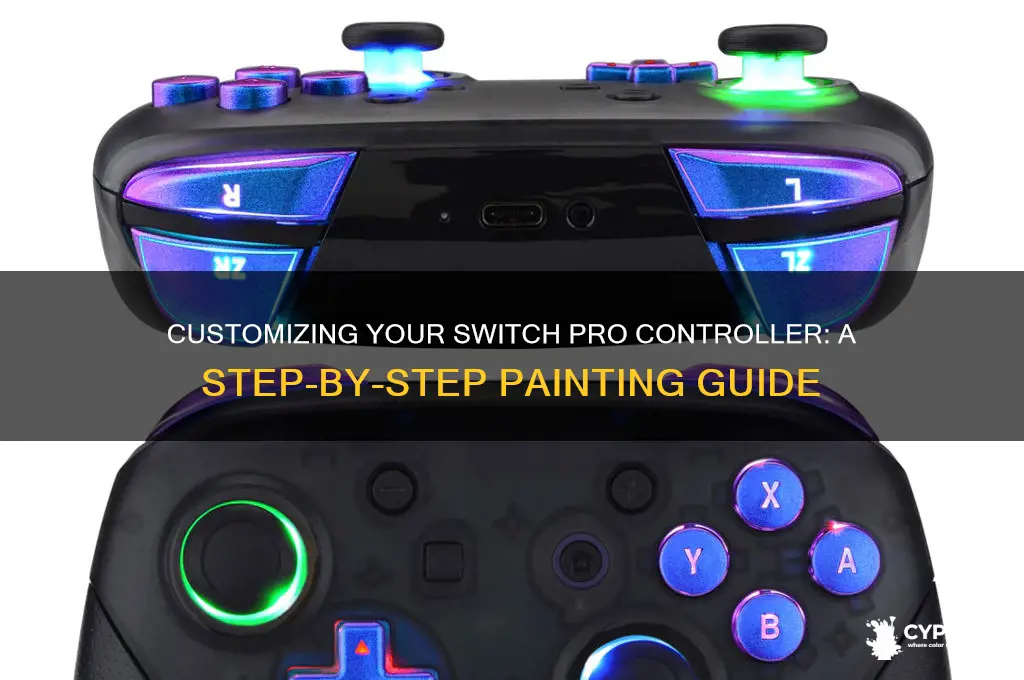 Customizing Your Switch Pro Controller: A Step-By-Step Painting Guide ...
