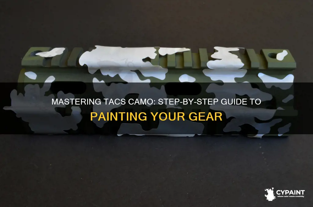 Mastering Tacs Camo: Step-By-Step Guide To Painting Your Gear | CyPaint