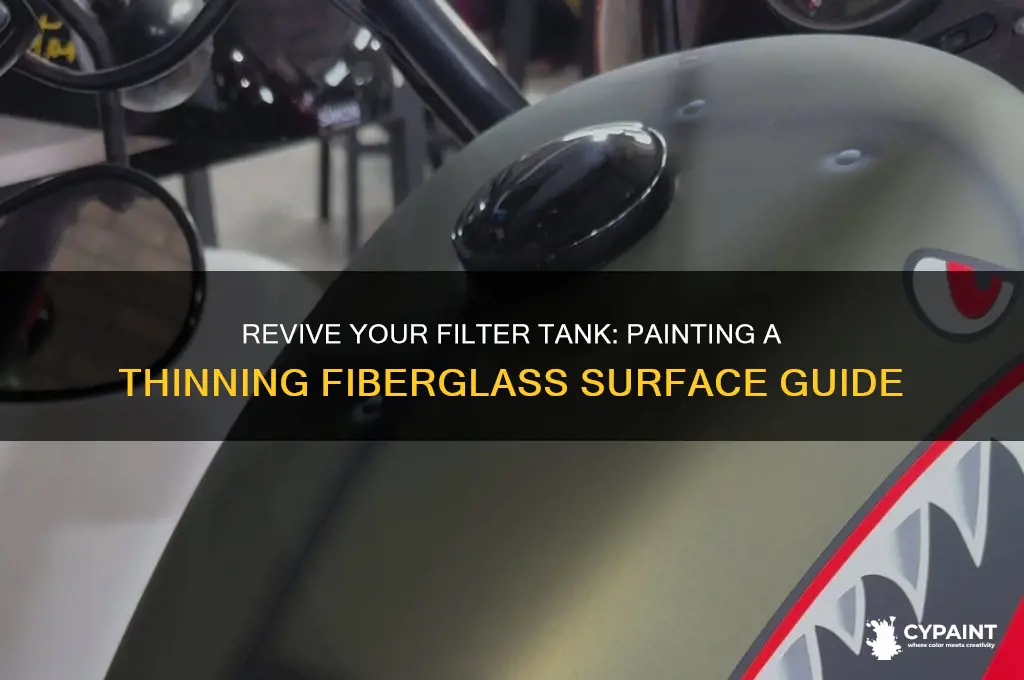 Revive Your Filter Tank: Painting A Thinning Fiberglass Surface Guide ...