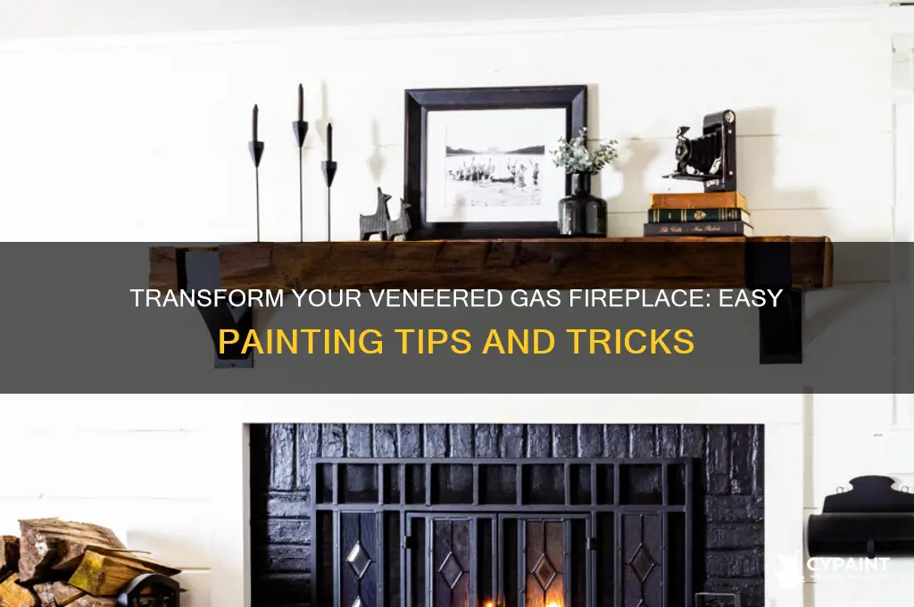 Transform Your Veneered Gas Fireplace: Easy Painting Tips And Tricks ...