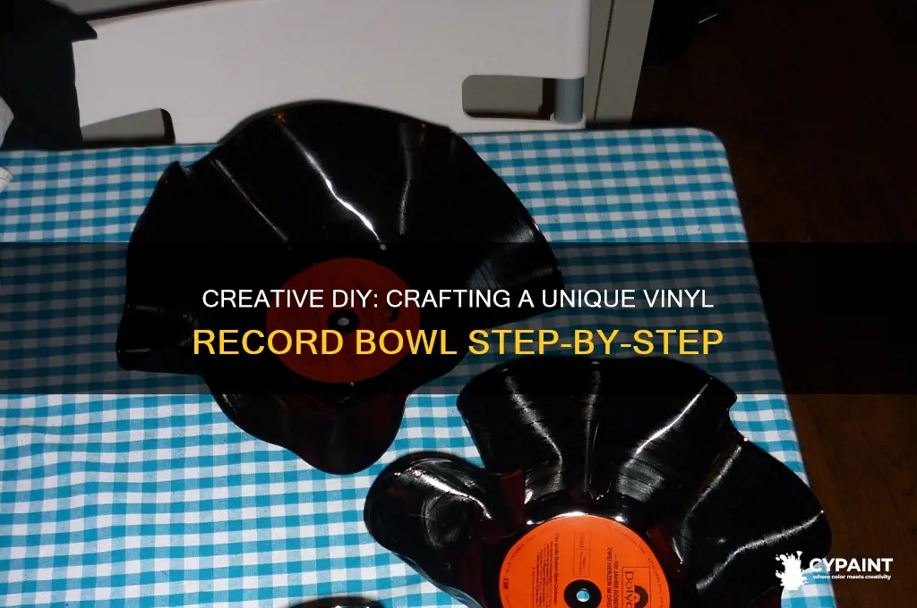 Creative Diy: Crafting A Unique Vinyl Record Bowl Step-By-Step | CyPaint