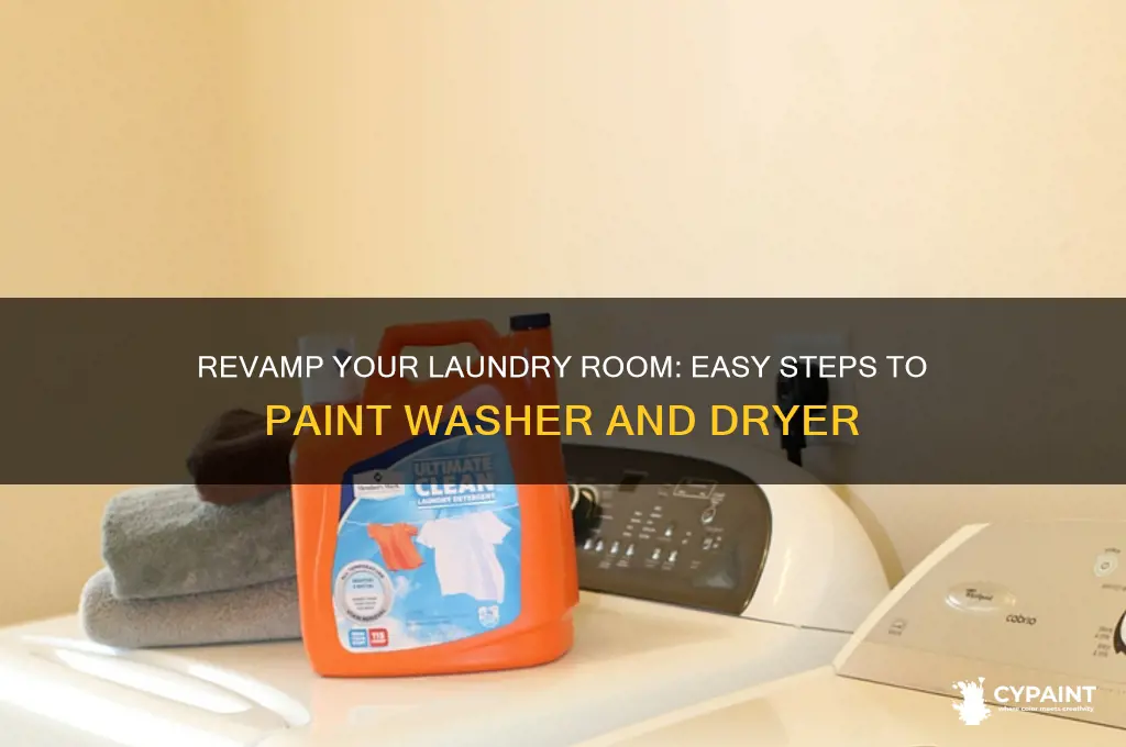 Revamp Your Laundry Room: Easy Steps To Paint Washer And Dryer | CyPaint