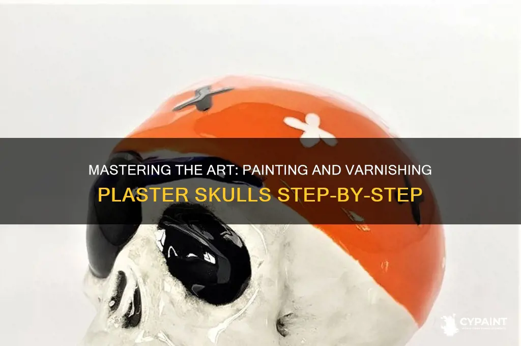 Mastering The Art: Painting And Varnishing Plaster Skulls Step-By-Step ...