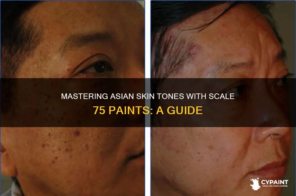 Mastering Asian Skin Tones With Scale 75 Paints: A Guide | CyPaint