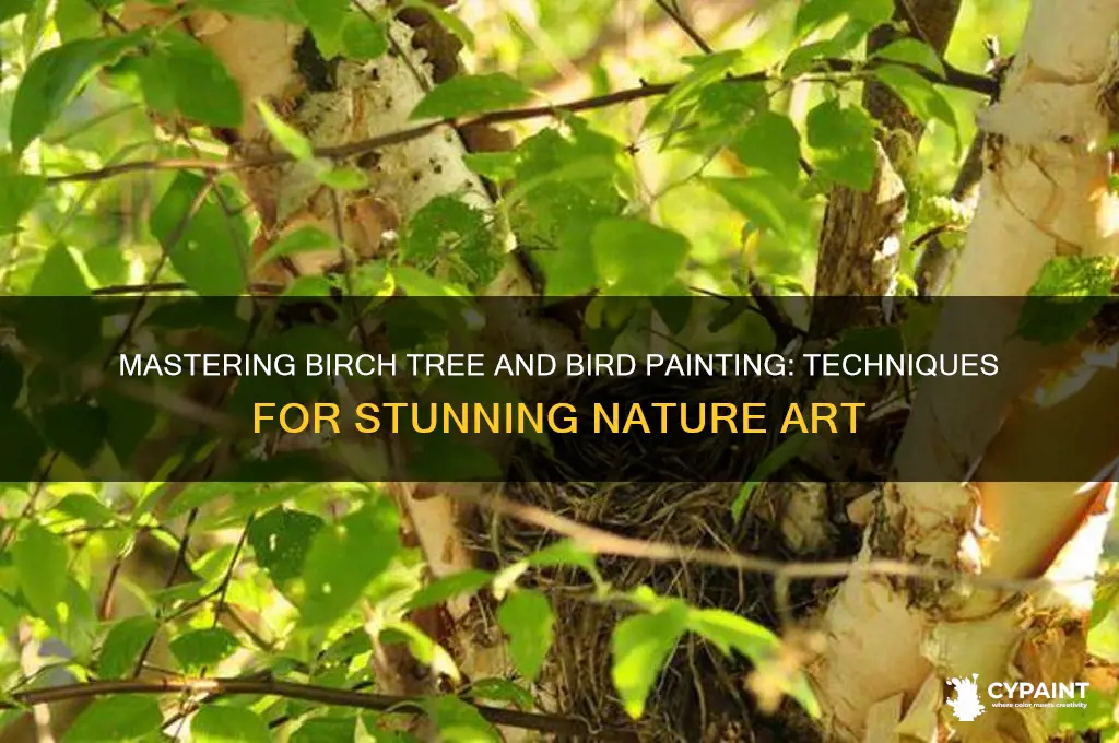 Mastering Birch Tree And Bird Painting: Techniques For Stunning Nature ...