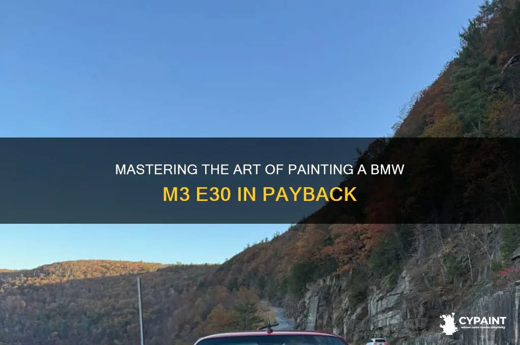 Mastering The Art Of Painting A Bmw M3 E30 In Payback | CyPaint