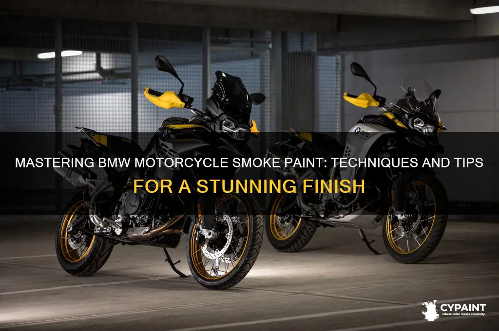 Mastering Bmw Motorcycle Smoke Paint: Techniques And Tips For A ...