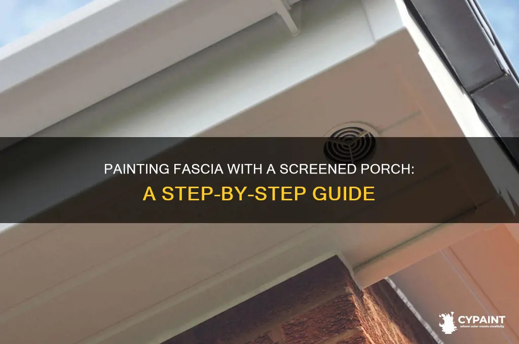 Painting Fascia With A Screened Porch: A Step-By-Step Guide | CyPaint