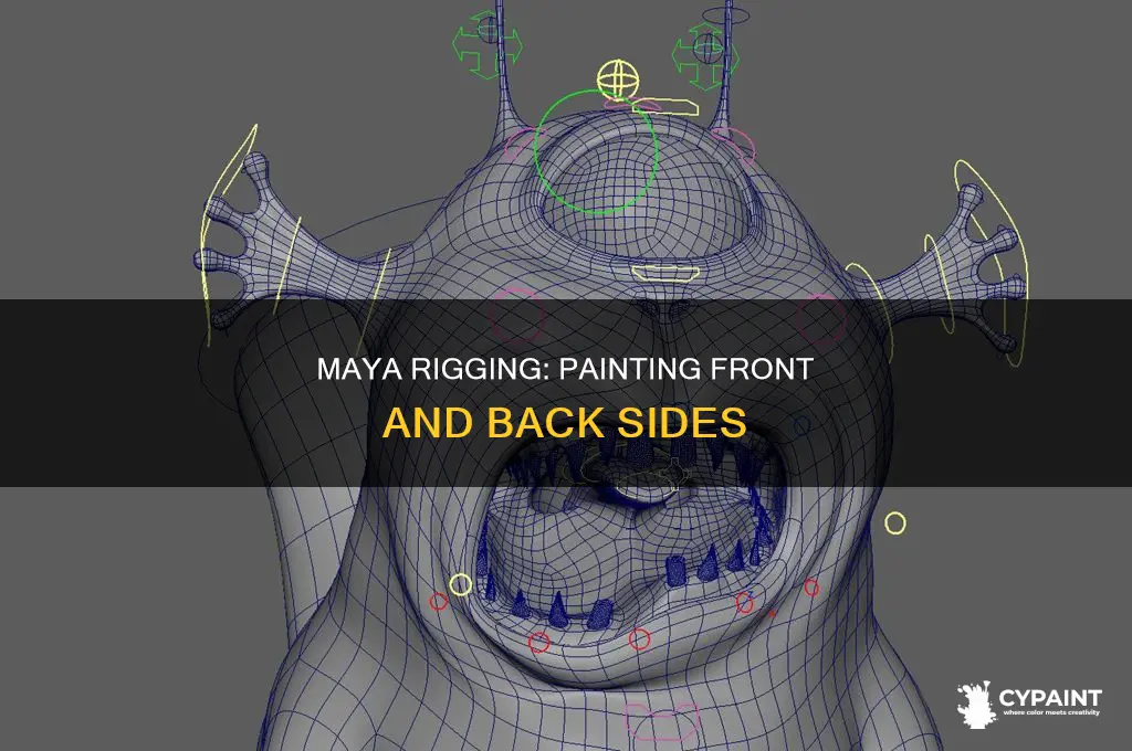 Maya Rigging: Painting Front And Back Sides | CyPaint
