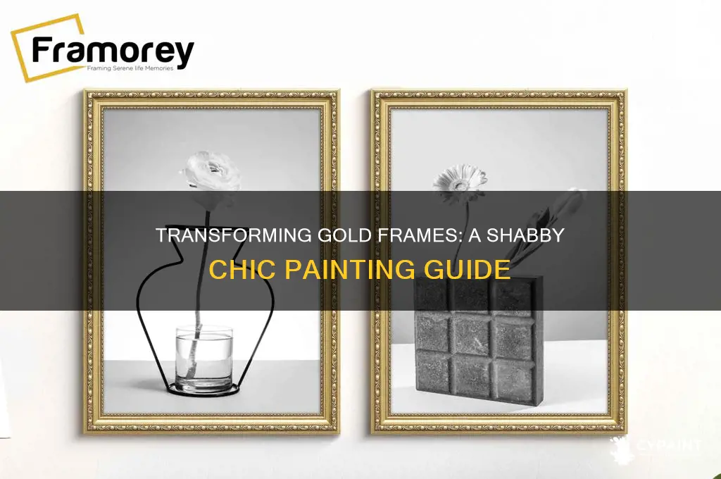 Transforming Gold Frames: A Shabby Chic Painting Guide | CyPaint