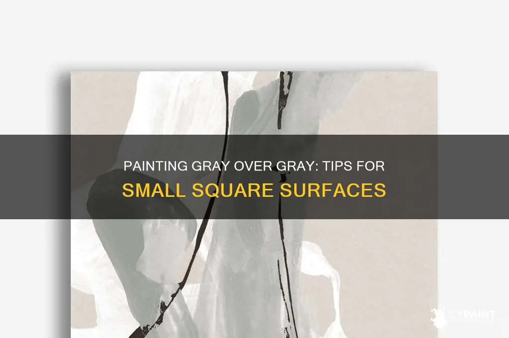 Painting Gray Over Gray: Tips For Small Square Surfaces | CyPaint