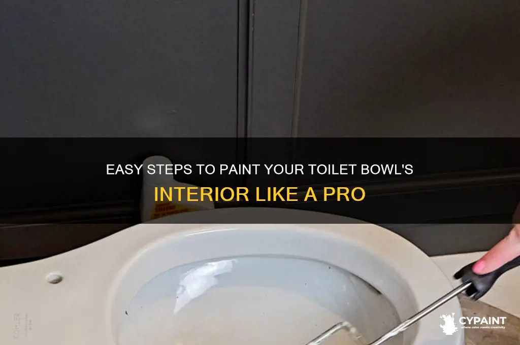 Easy Steps To Paint Your Toilet Bowl's Interior Like A Pro | CyPaint