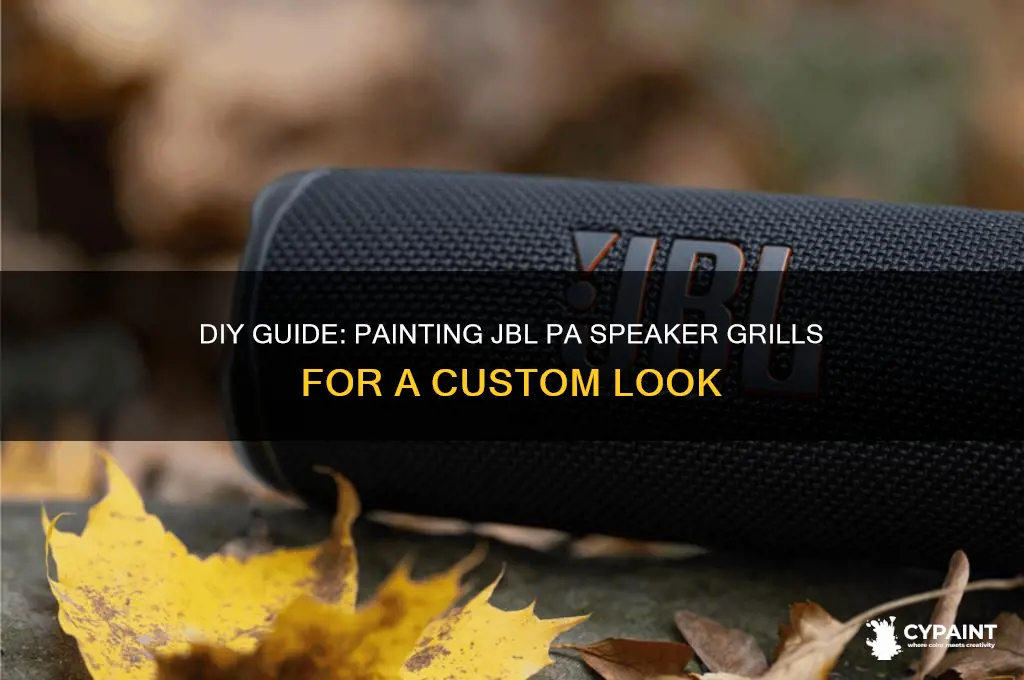 Diy Guide: Painting Jbl Pa Speaker Grills For A Custom Look | CyPaint