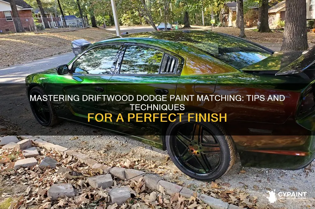 Mastering Driftwood Dodge Paint Matching: Tips And Techniques For A ...