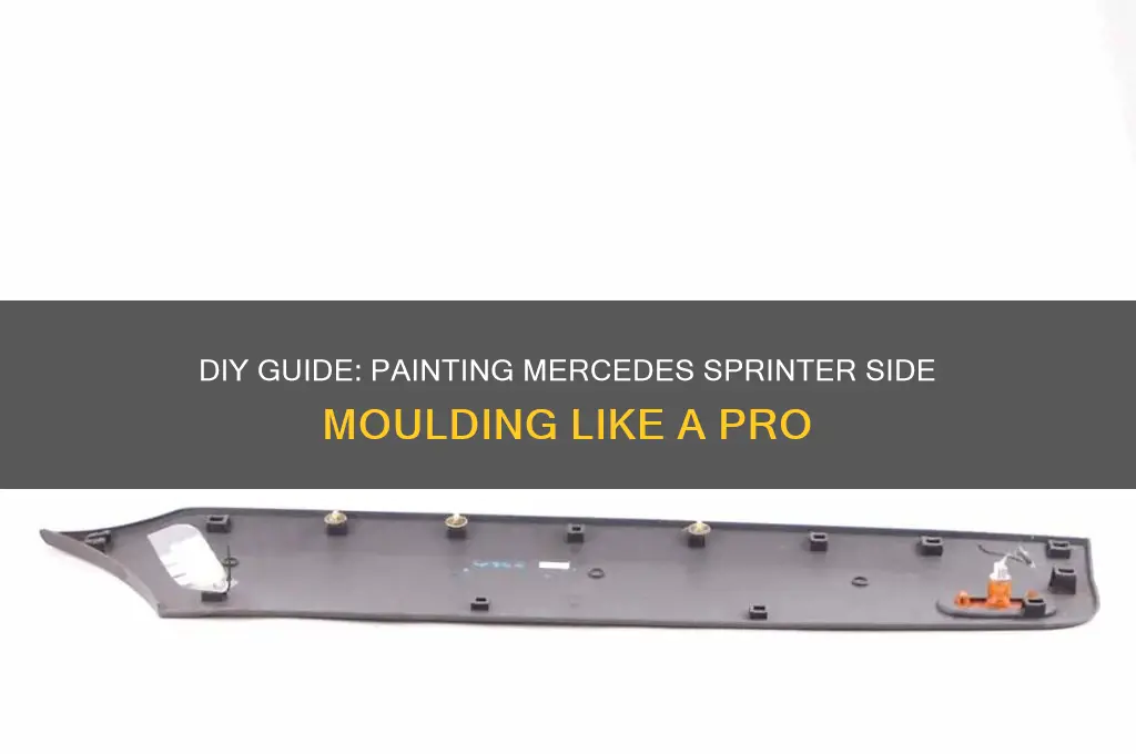 Diy Guide: Painting Mercedes Sprinter Side Moulding Like A Pro | CyPaint