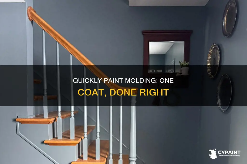 Quickly Paint Molding: One Coat, Done Right | CyPaint