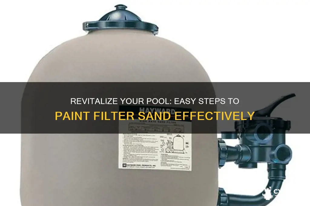 Revitalize Your Pool: Easy Steps To Paint Filter Sand Effectively | CyPaint