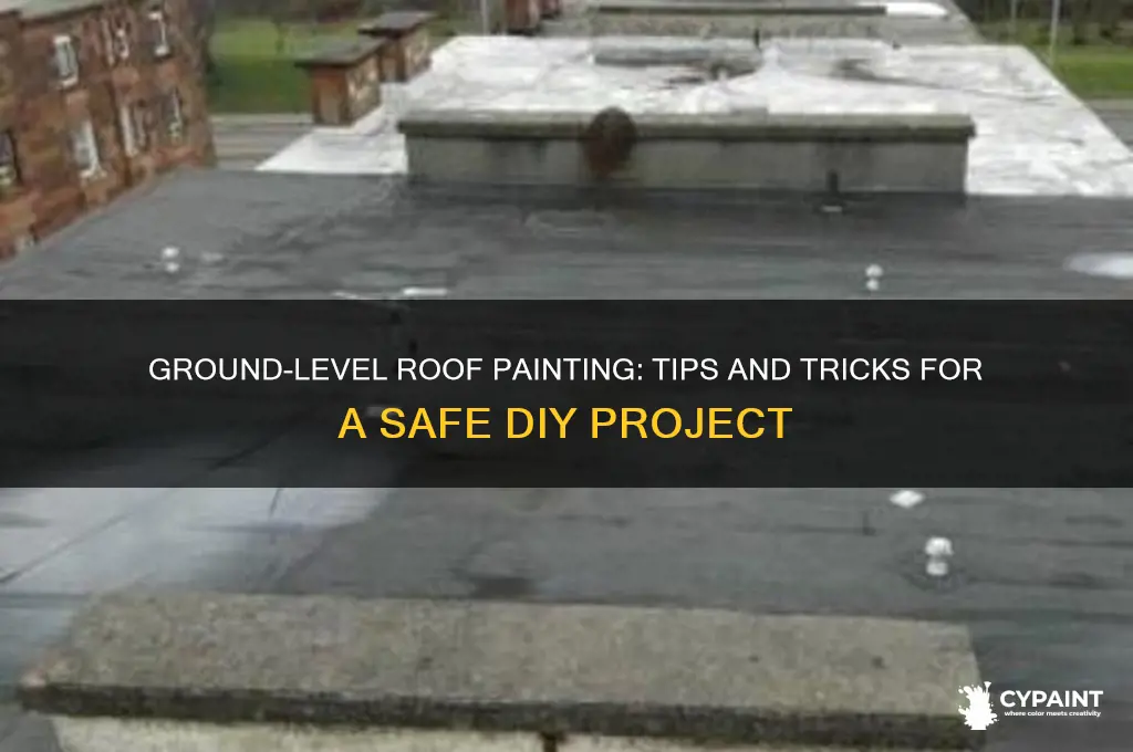 Ground-Level Roof Painting: Tips And Tricks For A Safe Diy Project ...