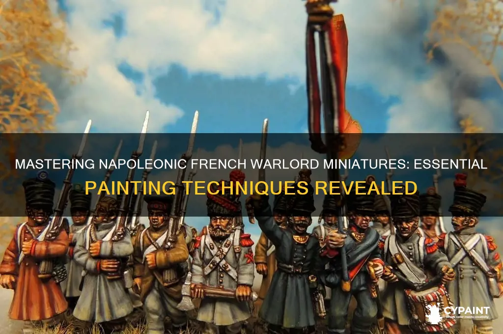 Mastering Napoleonic French Warlord Miniatures: Essential Painting ...