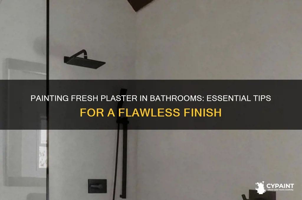 Painting Fresh Plaster In Bathrooms: Essential Tips For A Flawless ...
