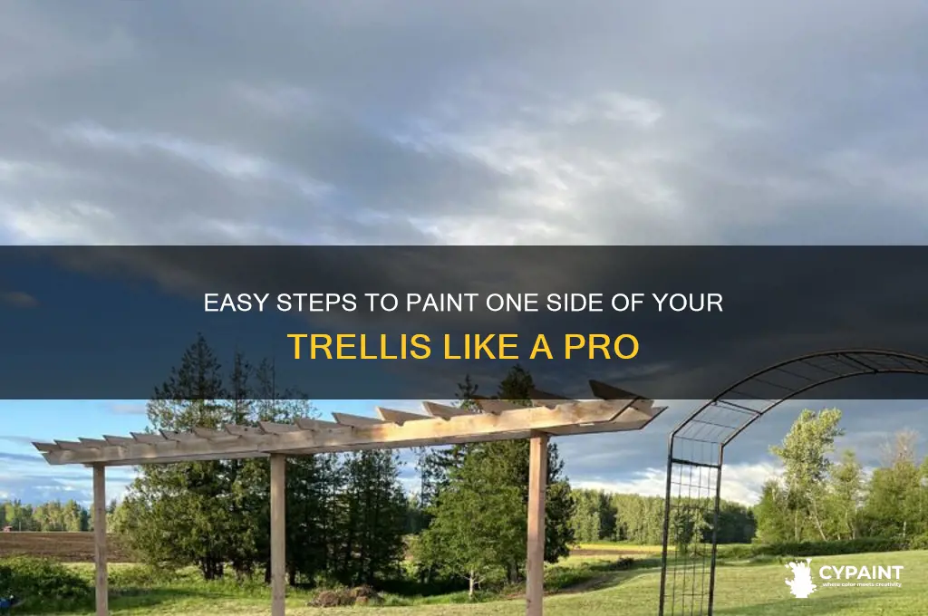 Easy Steps To Paint One Side Of Your Trellis Like A Pro | CyPaint