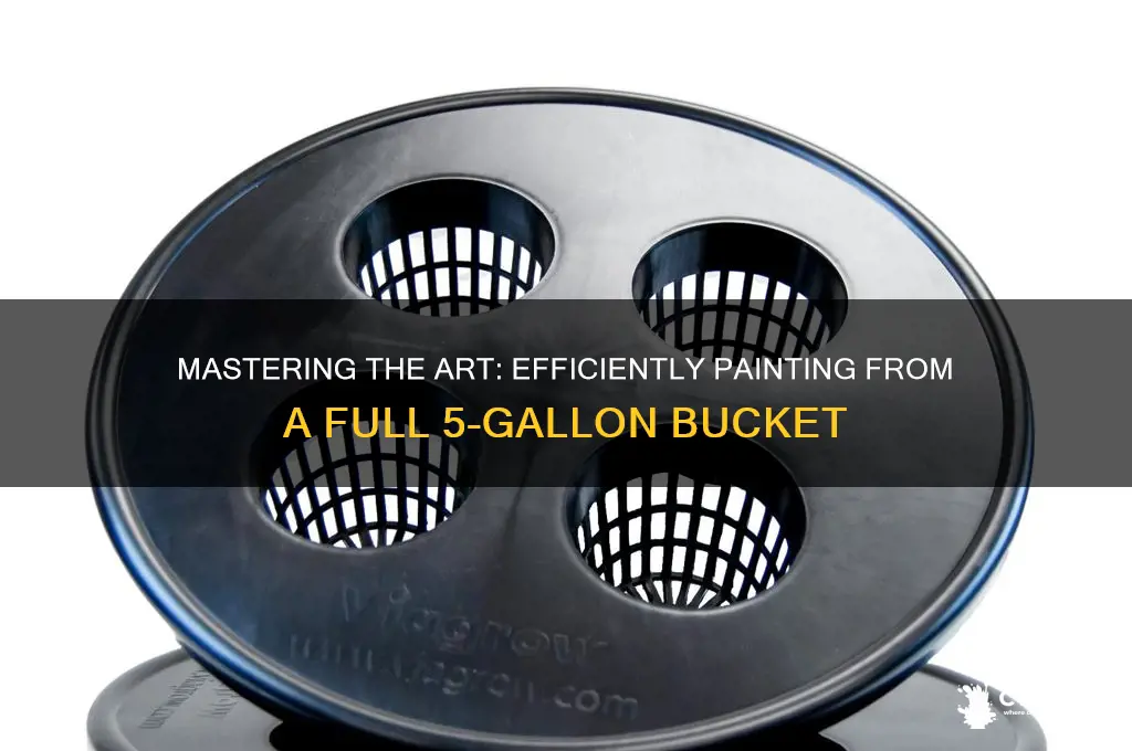 Mastering The Art: Efficiently Painting From A Full 5-Gallon Bucket ...