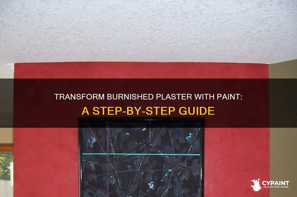 Transform Burnished Plaster With Paint: A Step-By-Step Guide | CyPaint