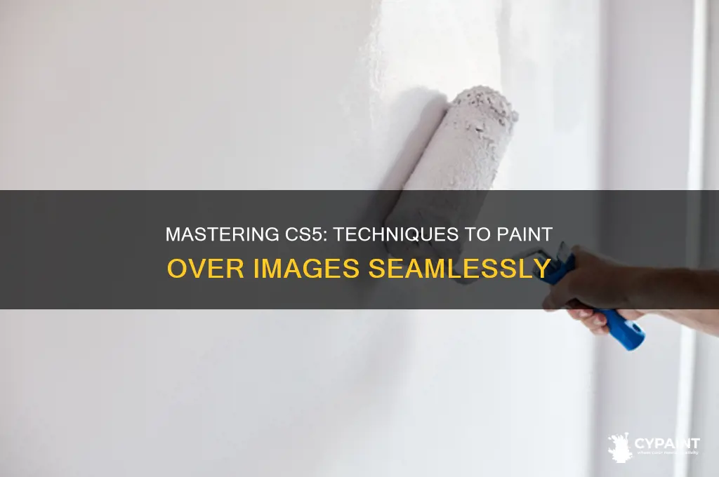 Mastering Cs5: Techniques To Paint Over Images Seamlessly | CyPaint