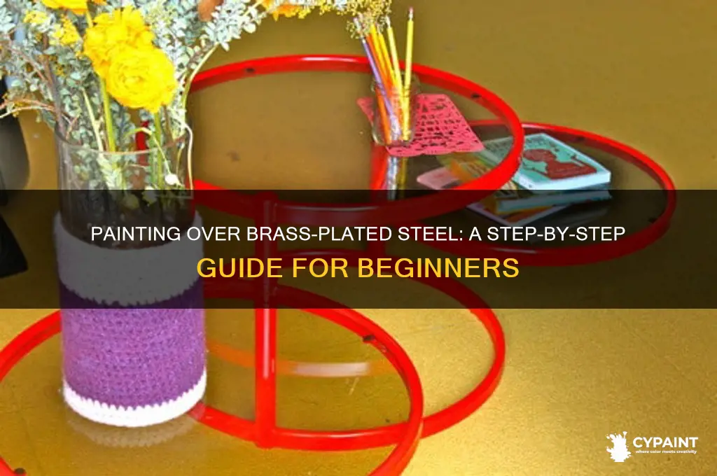 Painting Over Brass-Plated Steel: A Step-By-Step Guide For Beginners ...