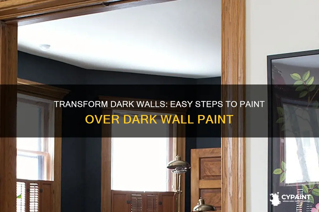 Transform Dark Walls: Easy Steps To Paint Over Dark Wall Paint | CyPaint