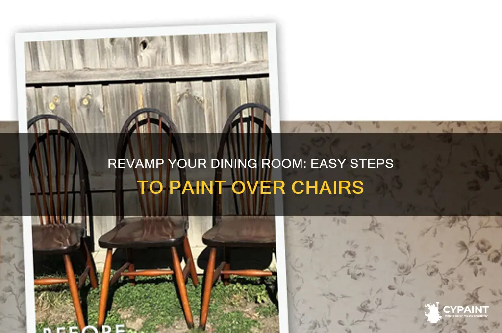 Revamp Your Dining Room: Easy Steps To Paint Over Chairs | CyPaint