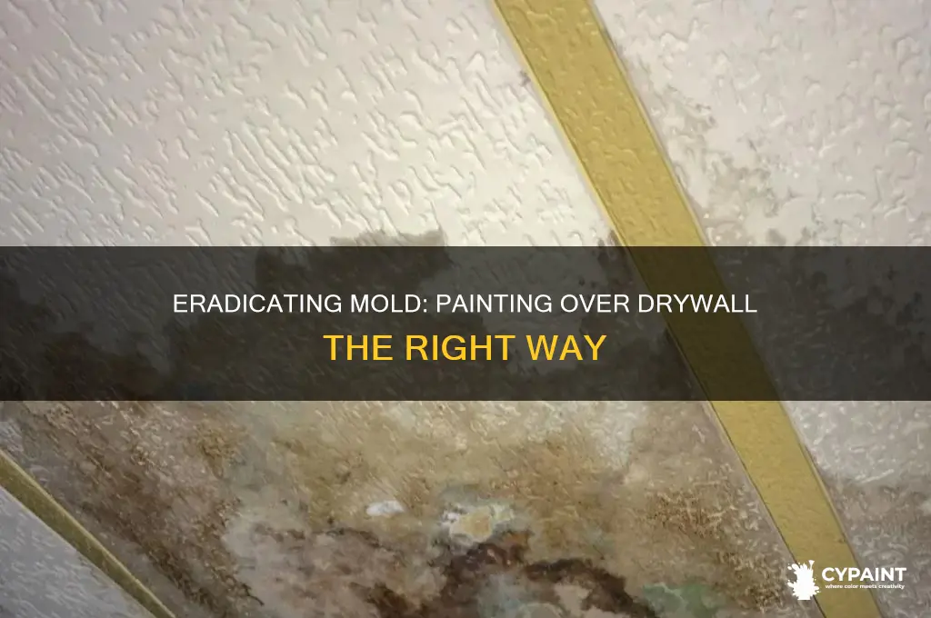 Eradicating Mold: Painting Over Drywall The Right Way | CyPaint