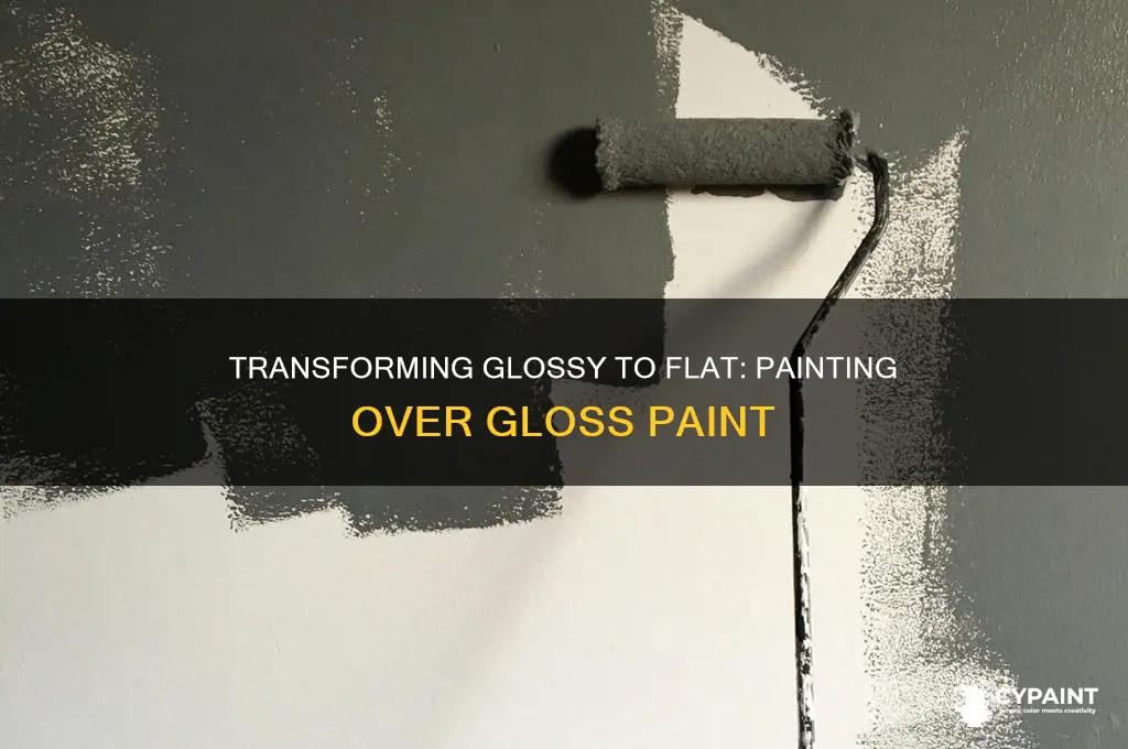 Transforming Glossy To Flat: Painting Over Gloss Paint | CyPaint
