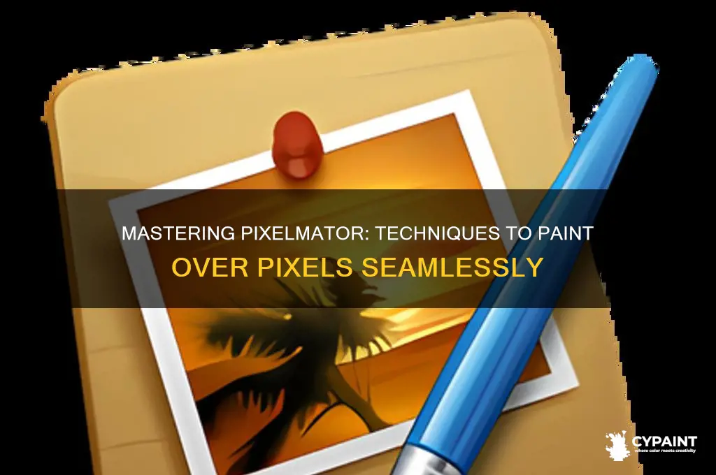 Mastering Pixelmator: Techniques To Paint Over Pixels Seamlessly | CyPaint